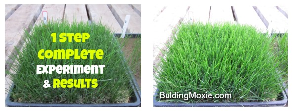 Pennington One Step Complete :: An Experiment & Results