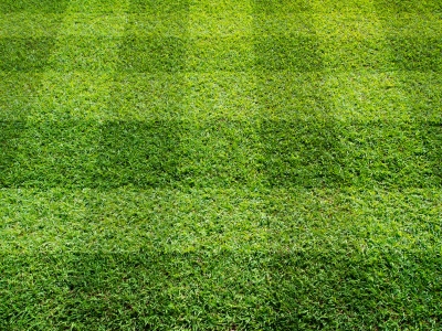 Six Strategies for Small Yard Landscaping :: Building Moxie