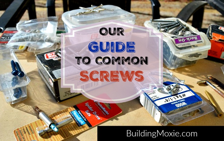 Guide to Common Screws Used Around the House