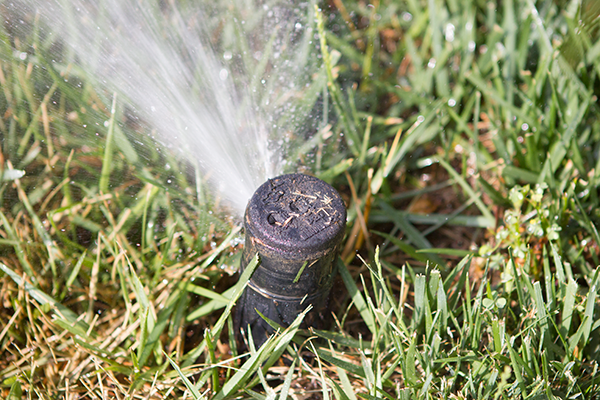 Irrigation 101: The Basics of a Residential Irrigation System