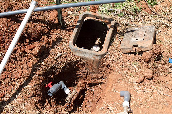 Irrigation 101: The Basics of a Residential Irrigation System